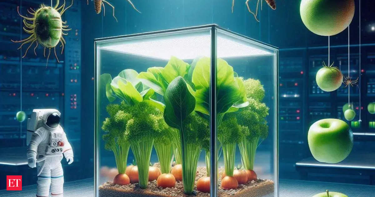 Interstellar Lab's Innovative Solution for Growing Food in Space Wins ...