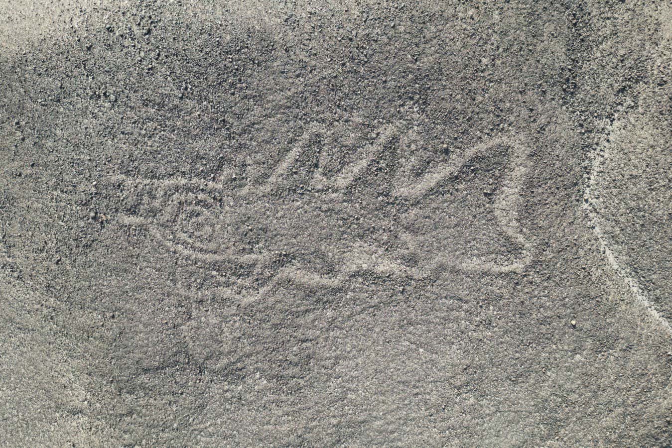 AI Uncovers Hundreds of New Nazca Lines in Peruvian Desert