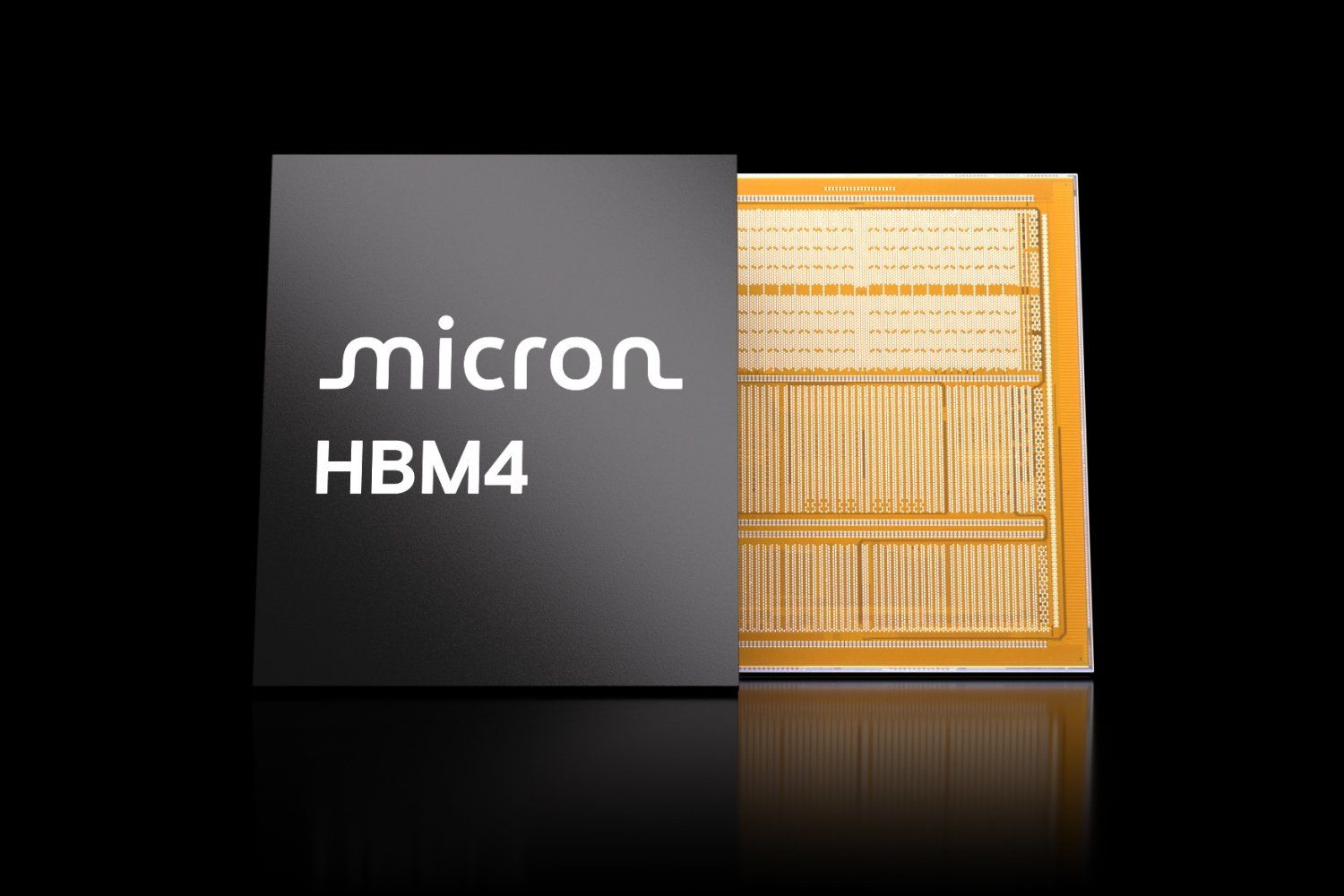 Micron Pioneers HBM4 Memory: A Leap Forward for AI and High-Performance ...