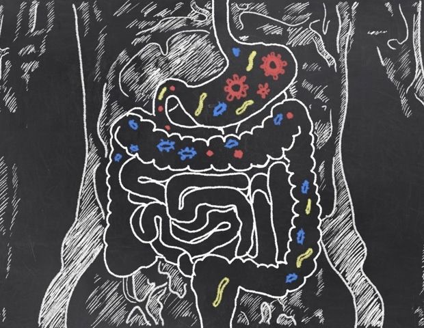 AI-Powered Research Reveals Gut-Immune-Metabolism Link in Chronic ...