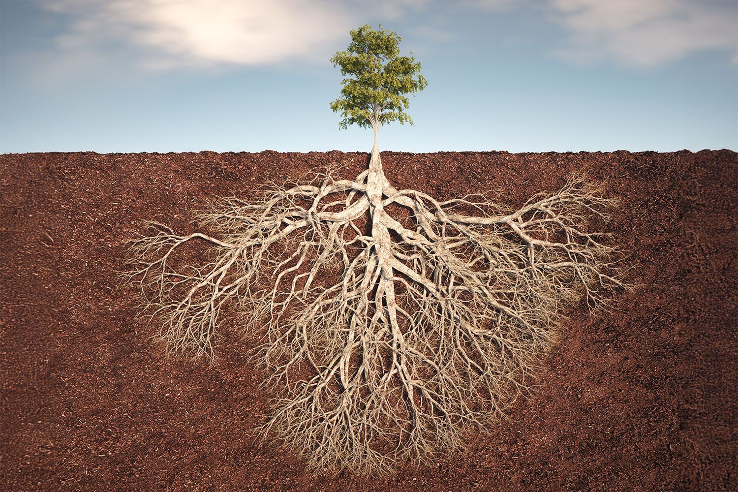 Stanford Researchers Explore Ontological Bias in AI Language Models