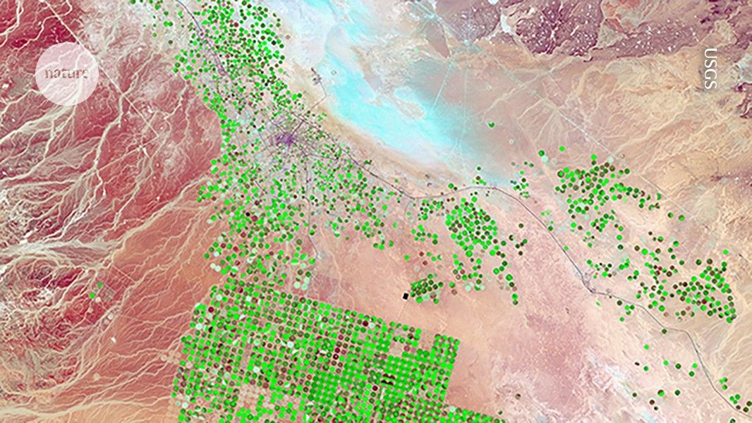 Google's AlphaEarth Foundations: AI Model Maps Earth in Unprecedented ...