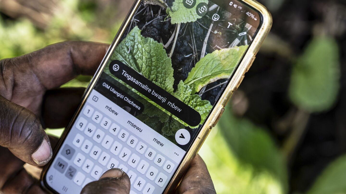 AI Chatbot Revolutionizes Small-Scale Farming in Malawi Amid Climate ...