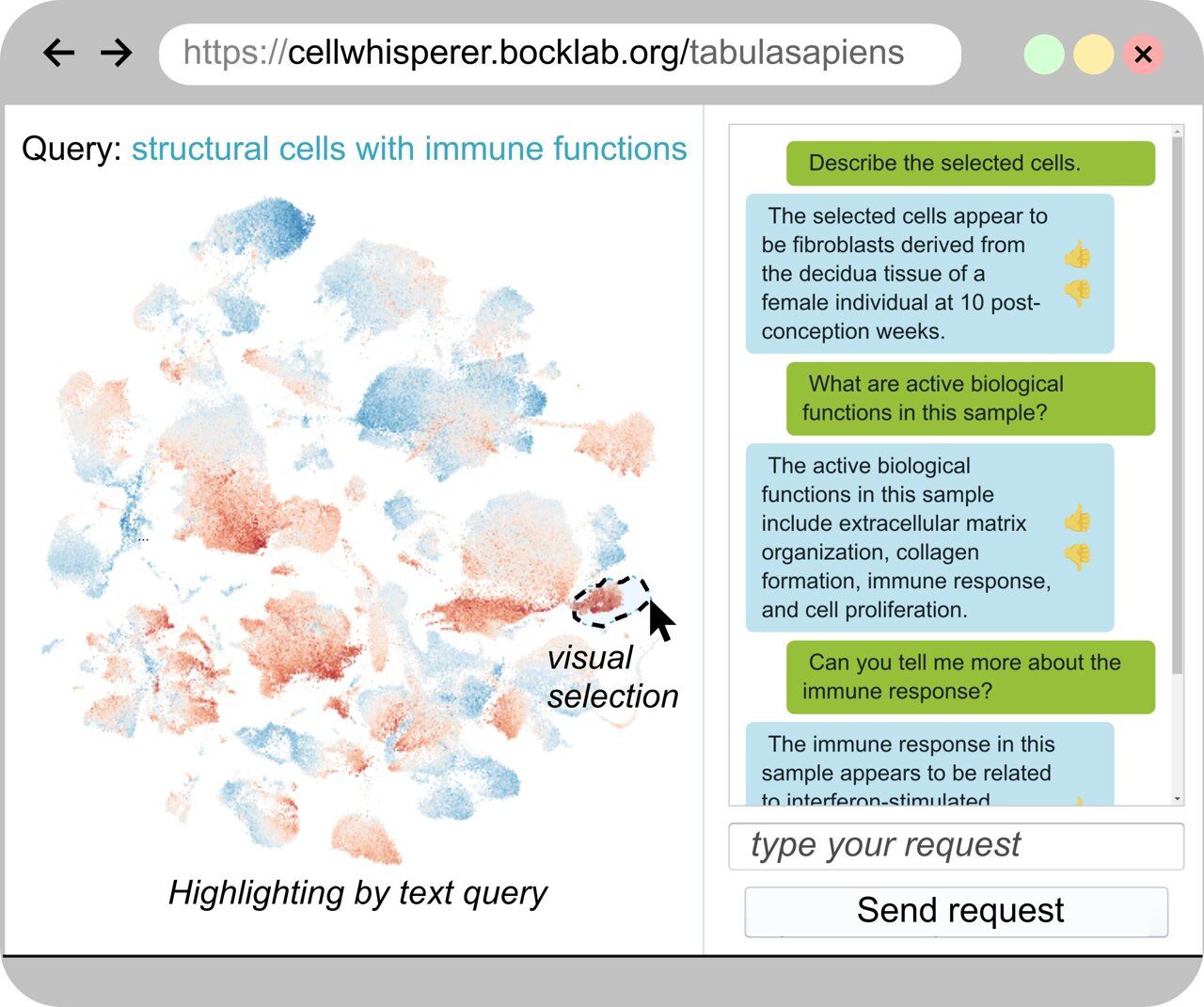 CellWhisperer: Revolutionary AI Chatbot Transforms Single-Cell Biology ...