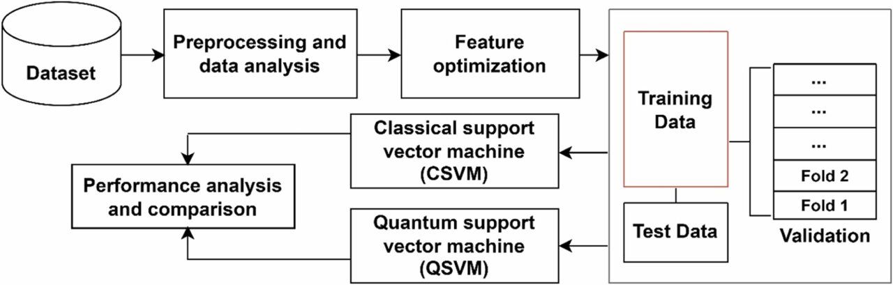 Quantum Computing Shows Promise for Kidney Disease Detection Despite ...