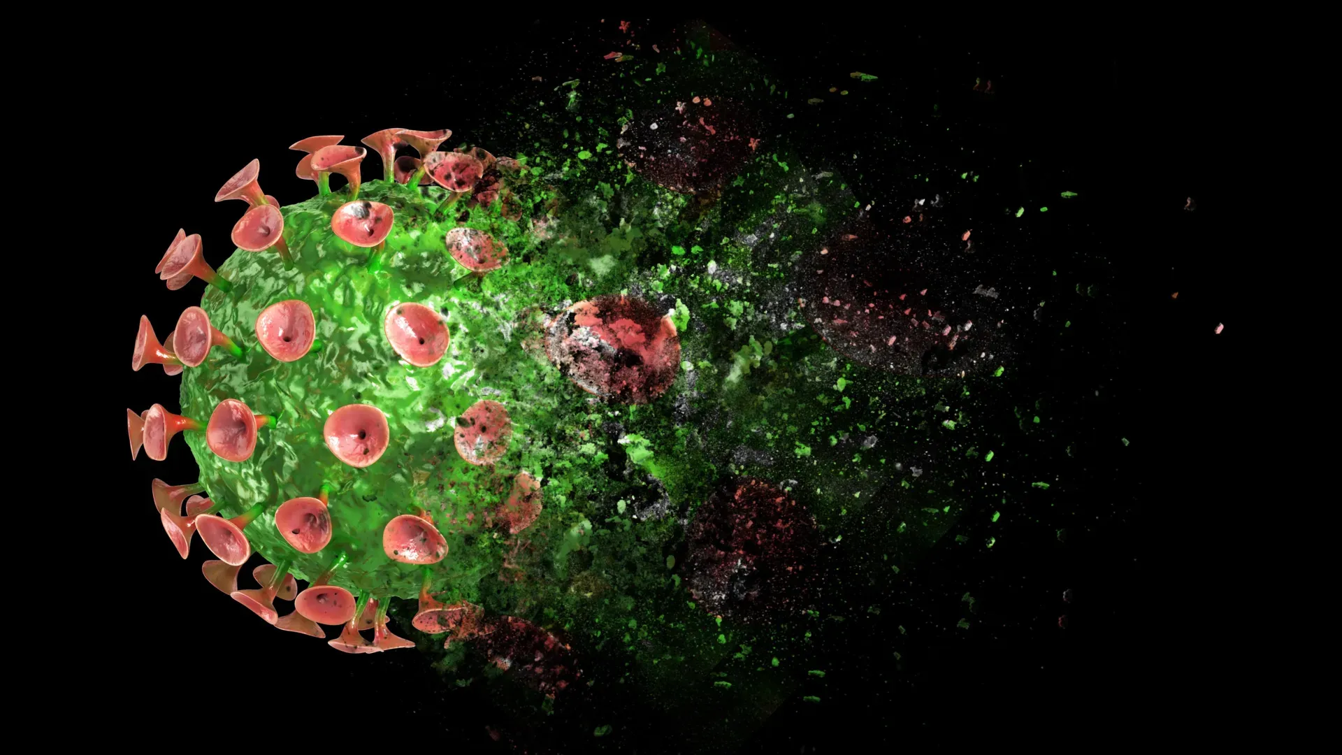 AI Identifies Protein Interaction to Block Virus Entry