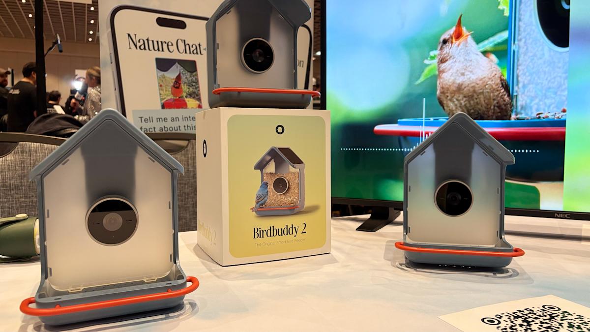 Birdbuddy Smart Bird Feeder IDs Birds by Song