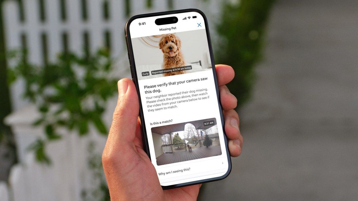 Ring Search Party Now Open to Non-Ring Camera Owners