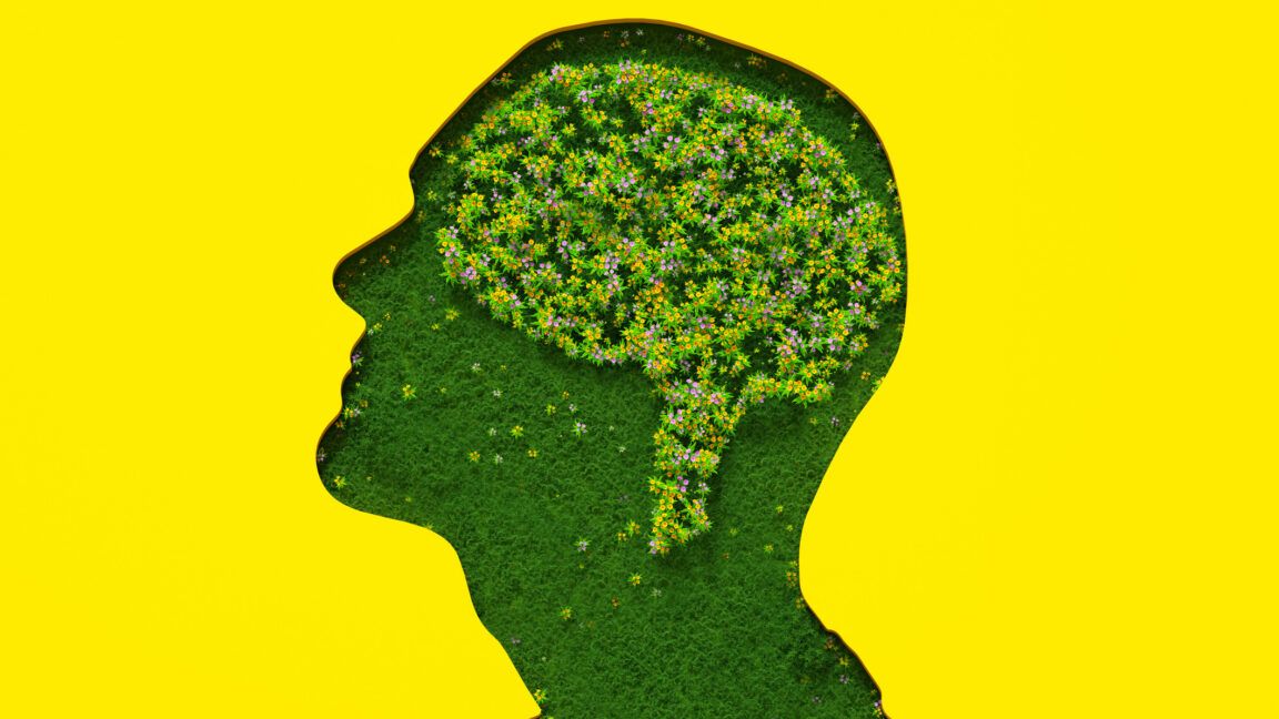 Anthropic Sends Claude AI to Therapy, Finds Emotions