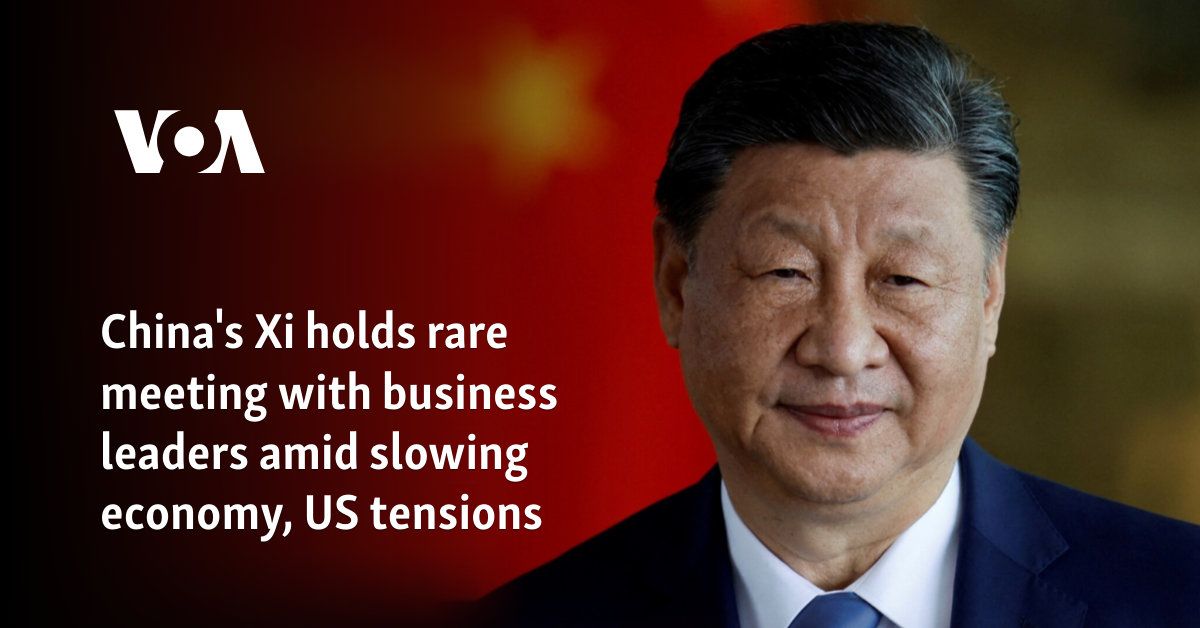 Xi Jinping Embraces Tech Giants and AI in Bid to Boost China's Economy