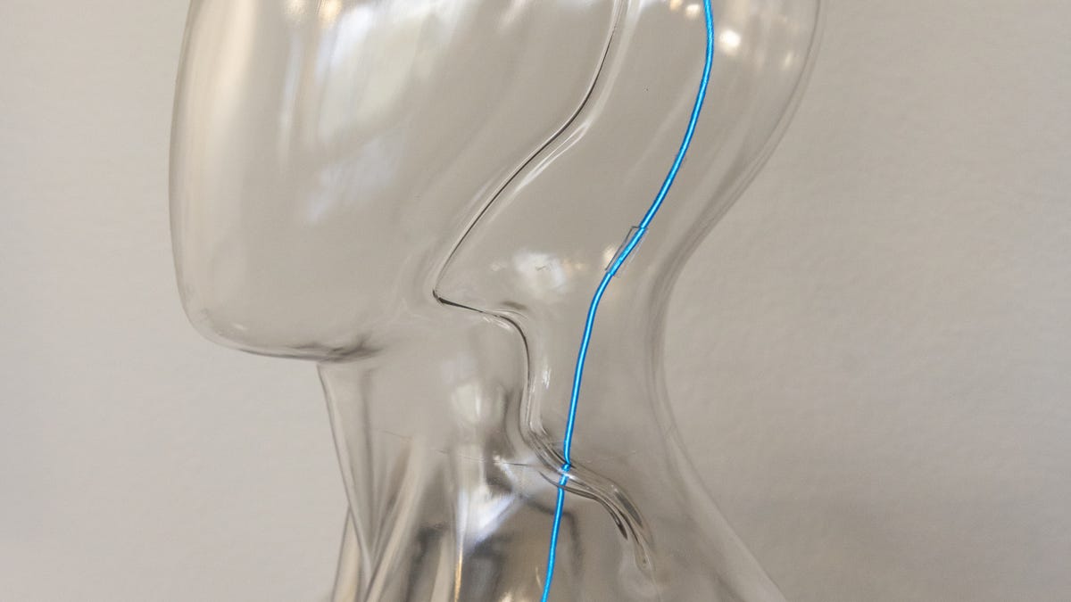 Paradromics Joins the Race in Brain-Computer Interface Technology with ...