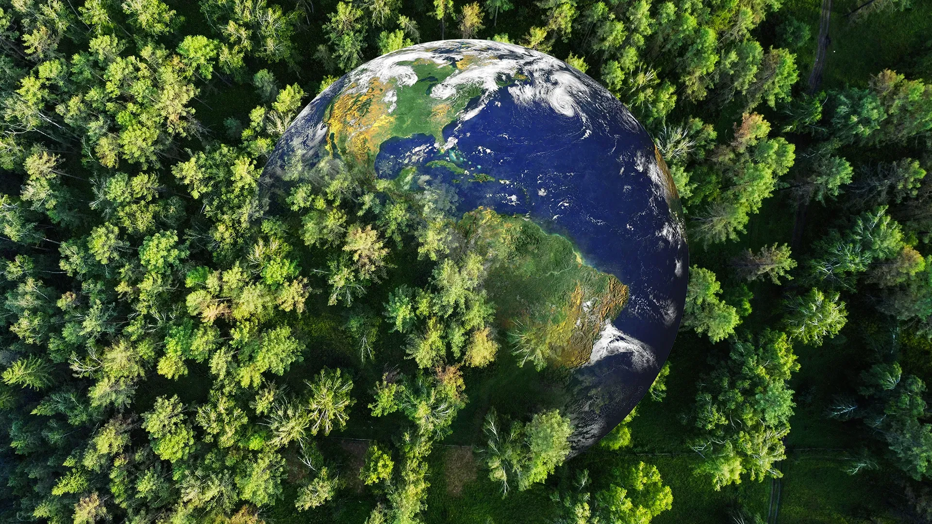 AI and Space Lasers Revolutionize Forest Carbon Mapping for Climate Science