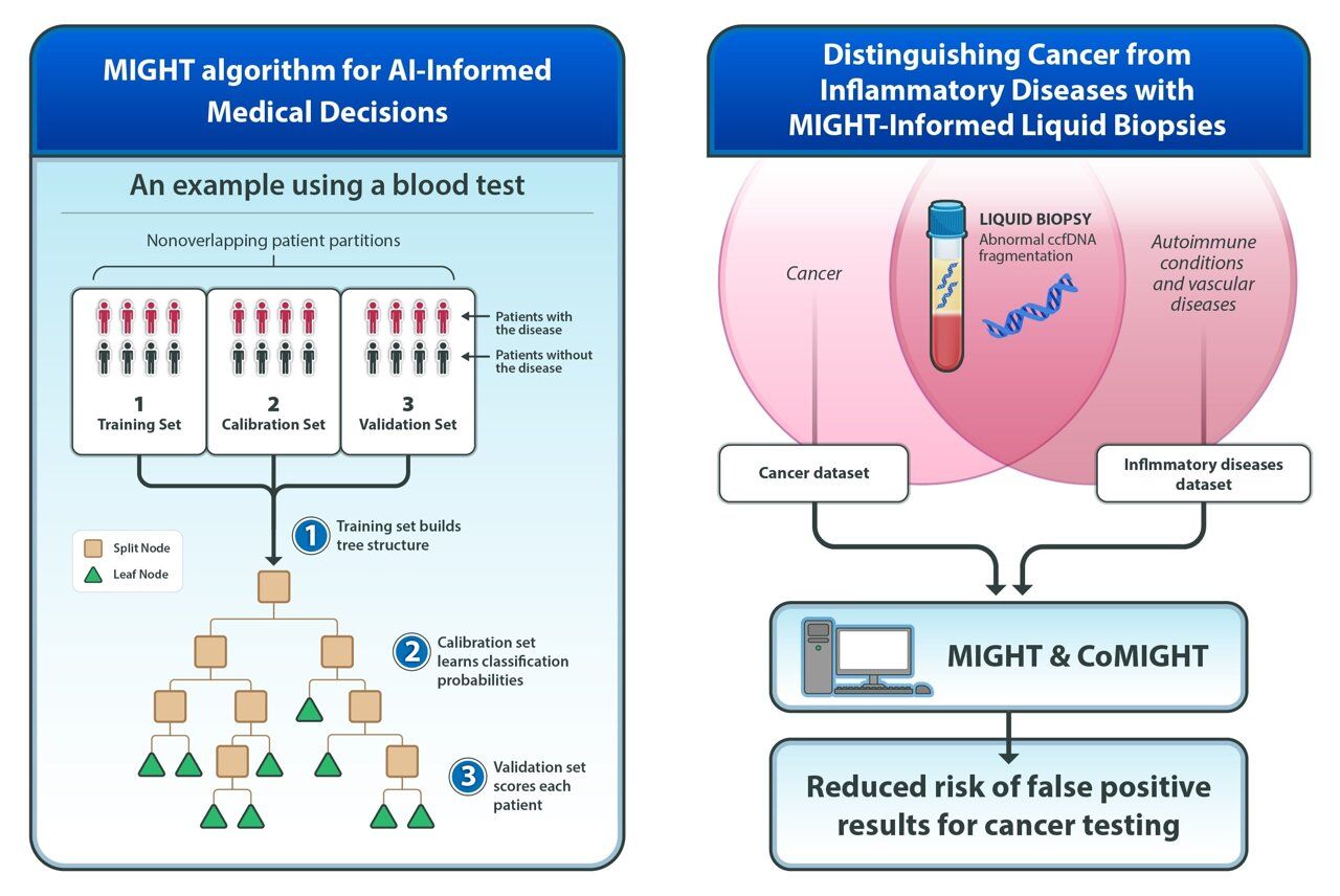 Johns Hopkins Researchers Develop MIGHT: A Powerful New AI Algorithm ...