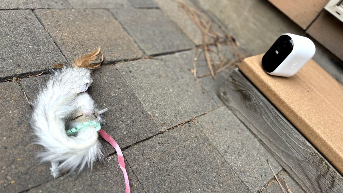 Arlo's New AI-Powered Custom Detection Feature Revolutionizes Home Security