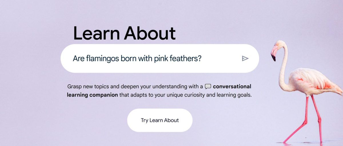 Google Unveils 'Learn About': An AI-Powered Educational Tool ...