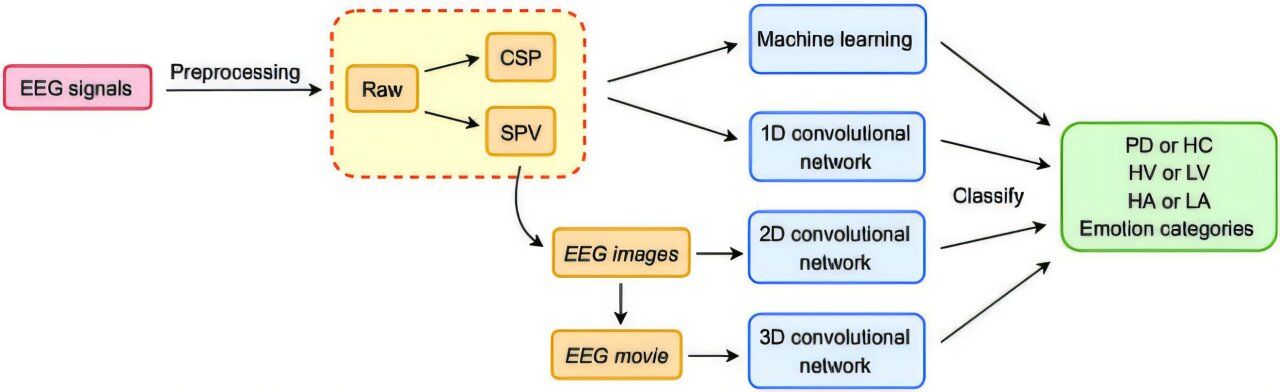 AI-Powered EEG Analysis Achieves Near-Perfect Parkinson's Disease ...